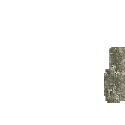 Cook County Contour Imagery Basemap